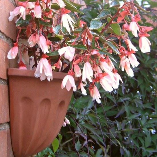 Fluted Design Terracotta Wall Pot | Terracotta.uk.com | Hand-made UK ...