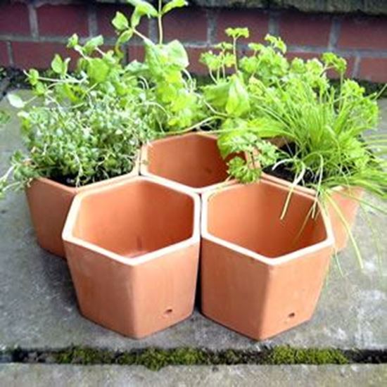 7 Hexagonal Herb Pots & 8 Markers | Terracotta.uk.com | Hand-made UK ...