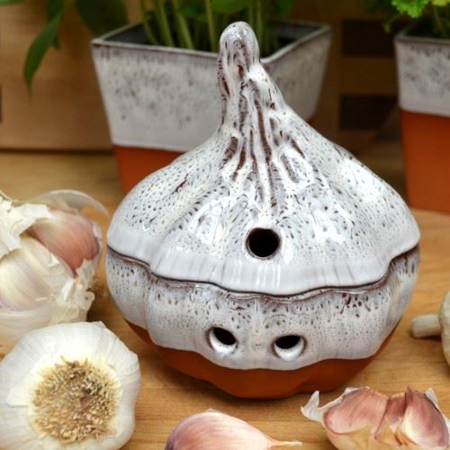 Glazed & Unglazed Garlic Cellars | Terracotta.uk.com | Hand-made UK ...