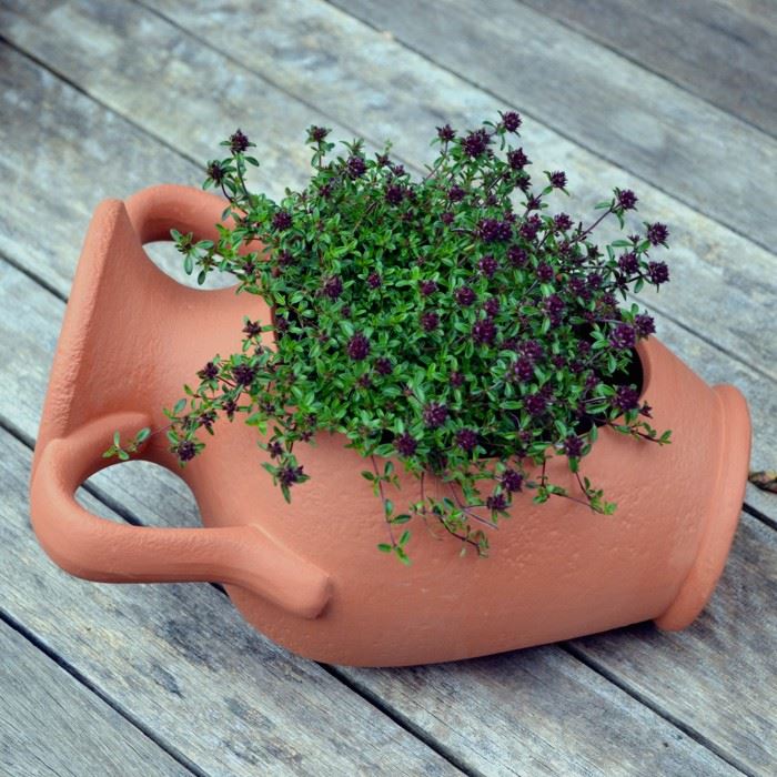 Amphora Planter | Terracotta.uk.com | Hand-made UK Terracotta Production