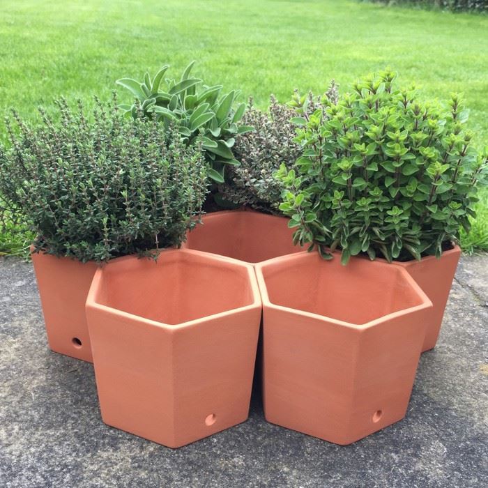 Hexagonal Herb Pots | Terracotta.uk.com | Hand-made UK Terracotta ...