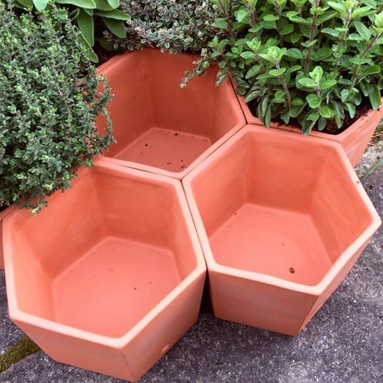 Hexagonal Herb Pots | Terracotta.uk.com | Hand-made UK Terracotta ...