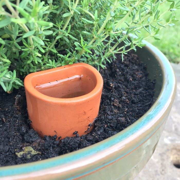 Wall Pot Waterer - Small | Terracotta.uk.com | Hand-made UK Terracotta ...