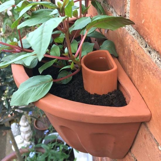 Wall Pot Waterer - Large | Terracotta.uk.com | Hand-made UK Terracotta ...