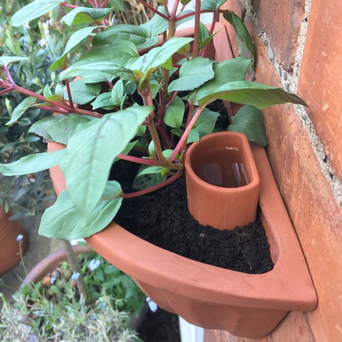 Wall Pot Waterer - Large | Terracotta.uk.com | Hand-made UK Terracotta ...