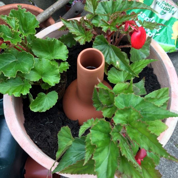 'Olla' Terracotta Irrigation Pot | Terracotta.uk.com | Hand-made UK ...