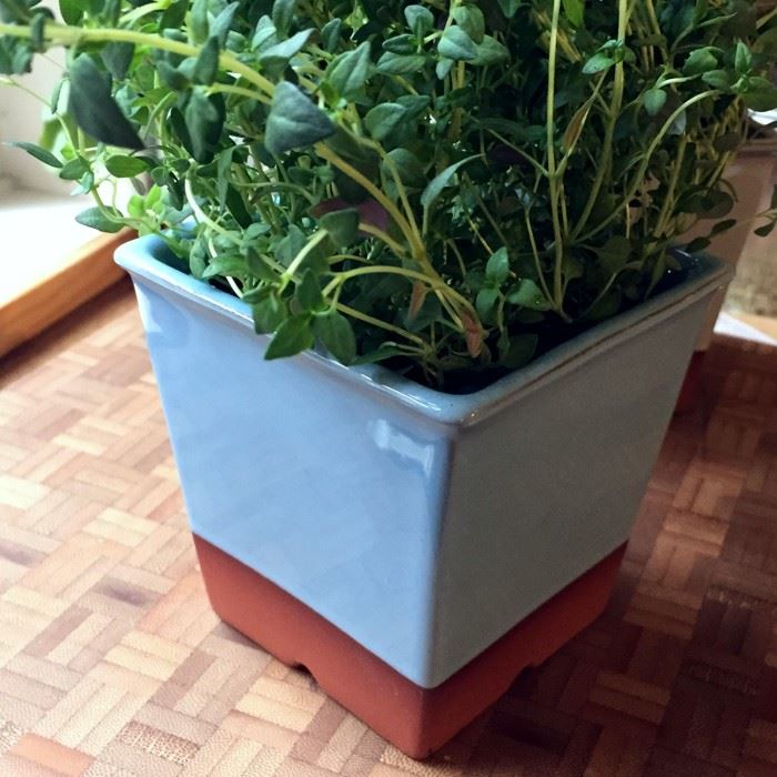 Herb Pot - Pale Blue Glaze | Terracotta.uk.com | Hand-made UK ...