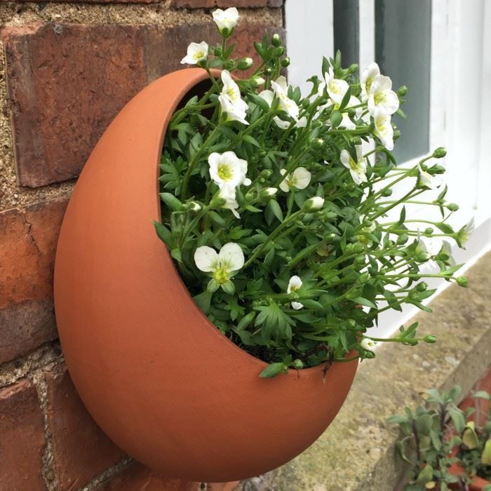 Terracotta Egg Wall Pot | Terracotta.uk.com | Hand-made UK Terracotta ...